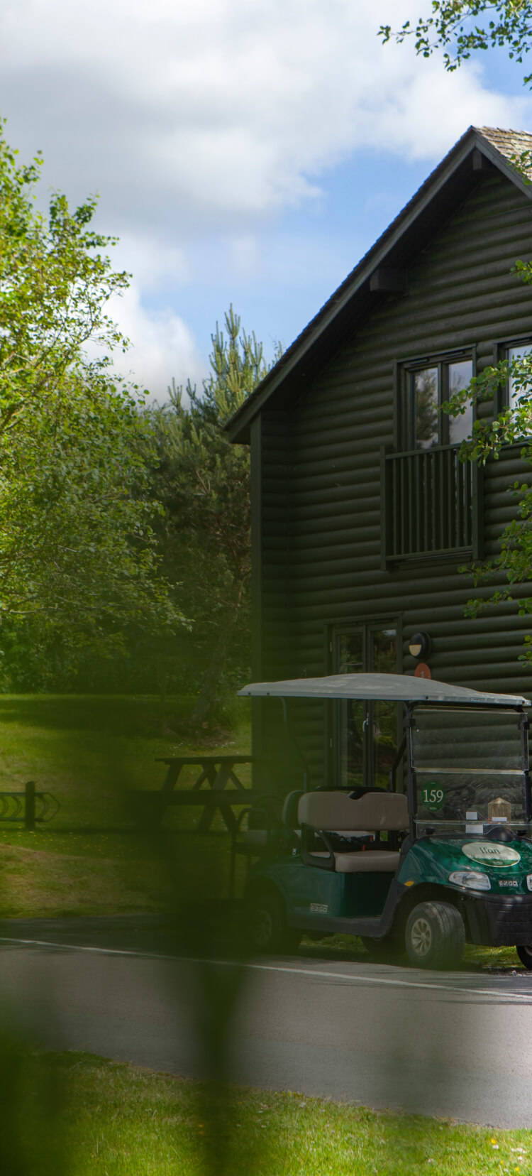 Academy | Careers | Bluestone