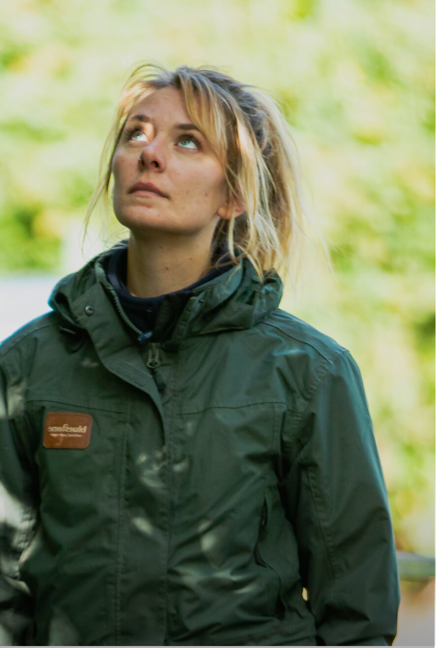 Careers | Job Opportunities | Bluestone Wales | Bluestone